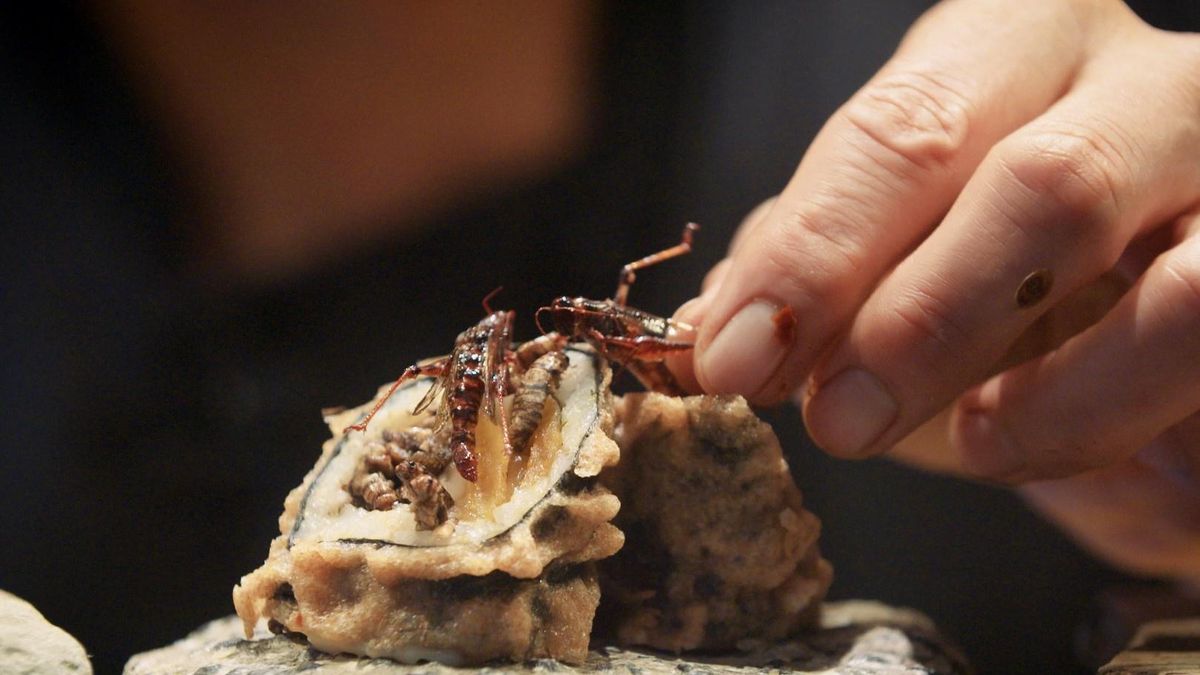 Nhà hàng bán sushi côn trùng và ốc - Tạp chí Tri thức