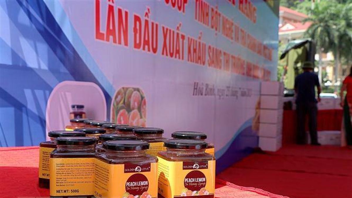 Hòa Bình: Xuất khẩu tinh bột nghệ và trà chanh đào mật ong sang Anh ...