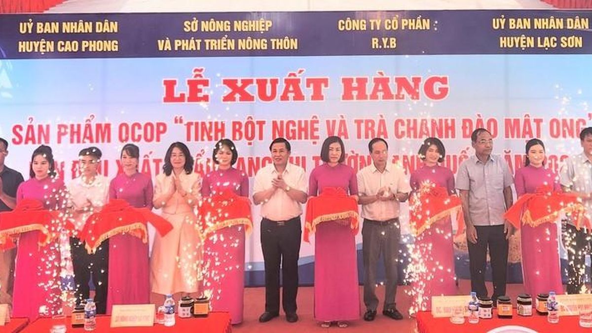 Hòa Bình: xuất khẩu OCOP tinh bột nghệ và trà chanh đào mật ong sang ...