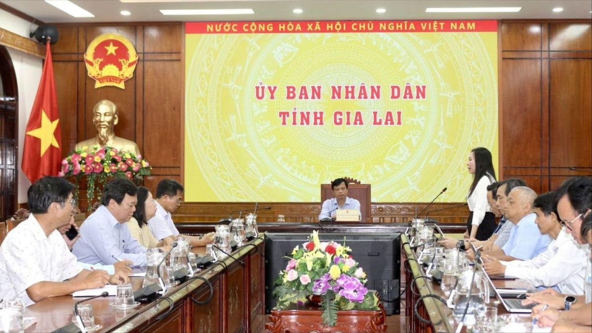 Vụ nghi ngộ độc ở Gia Lai: Bán 200 bánh mì, 89 người nhập viện - Báo ...