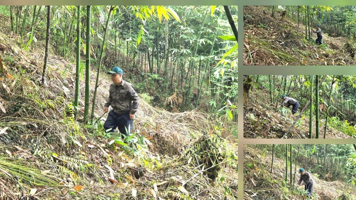 Gương sáng ở bản Chao - Báo Lào Cai