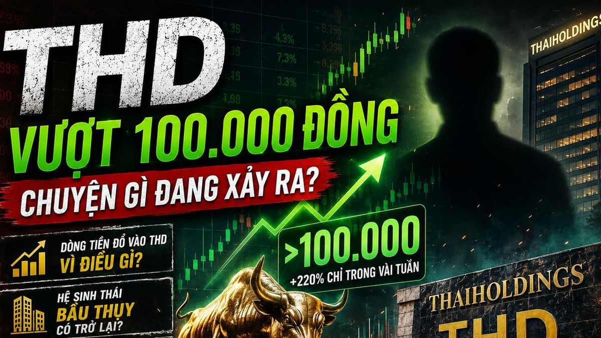 Cổ phiếu THD bứt phá hơn 200%: Dòng tiền đang đánh cược vào điều gì ...