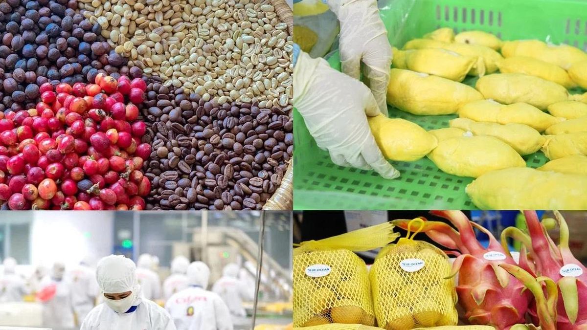 Từ 'Khoán 10' đến kỳ tích đưa nông sản Việt ra thế giới - Tạp chí ...