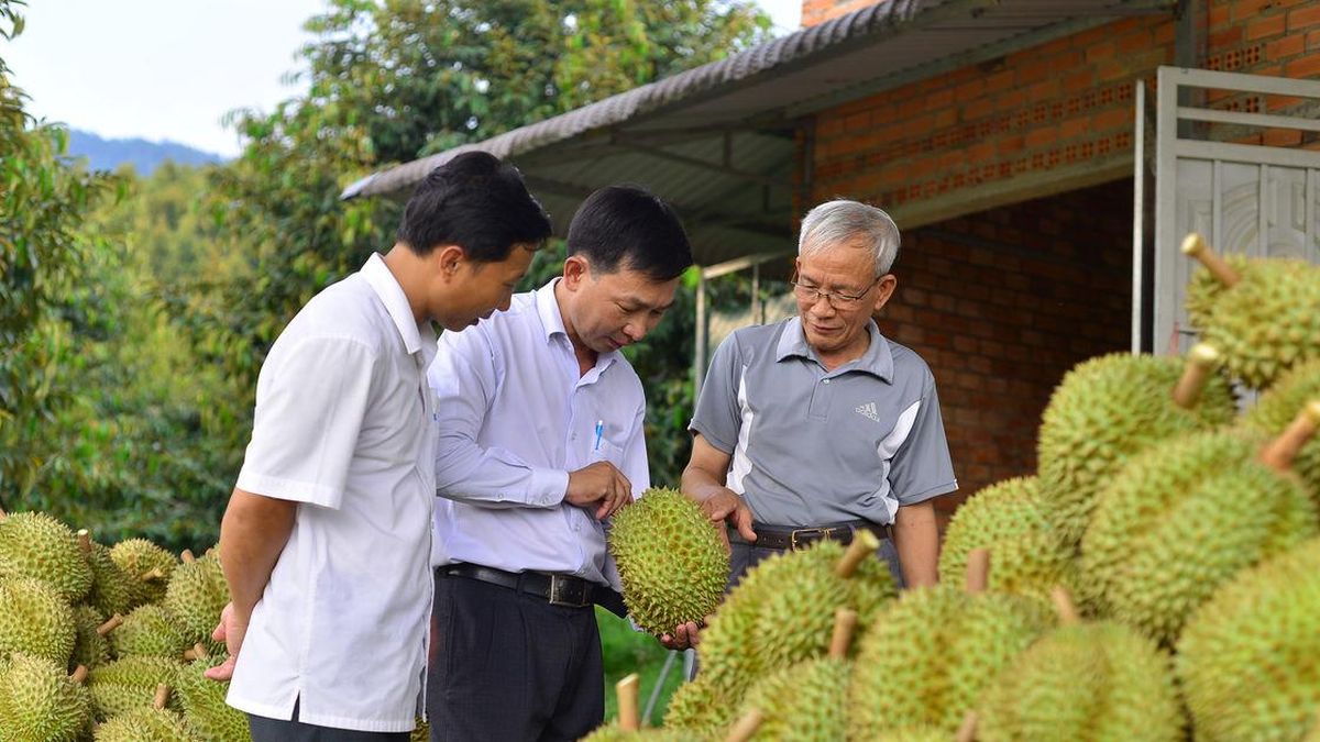 Lâm Đồng hôm nay 01/06 - Báo Lâm Đồng