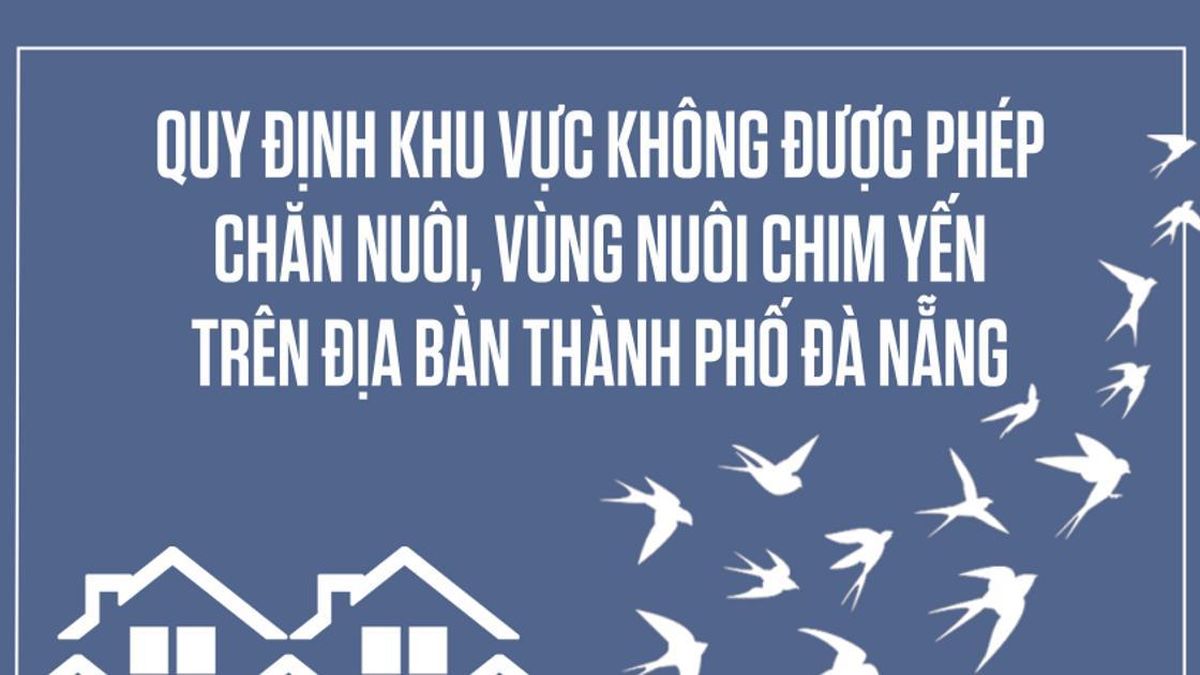 Quy định khu vực không được phép chăn nuôi, vùng nuôi chim yến trên địa ...