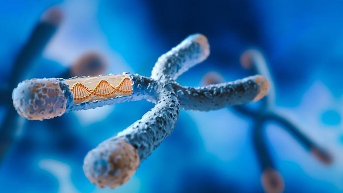 Một lỗi DNA có thể biến chuột cái thành đực: Hy vọng cho con người ...