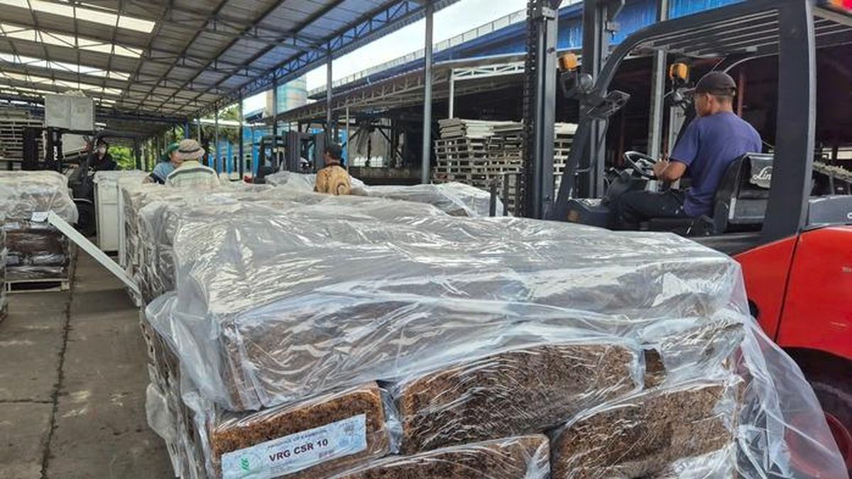 VRG: Giá cao su có thể vọt lên 3.300 USD/tấn vào năm 2030 - Báo Người ...