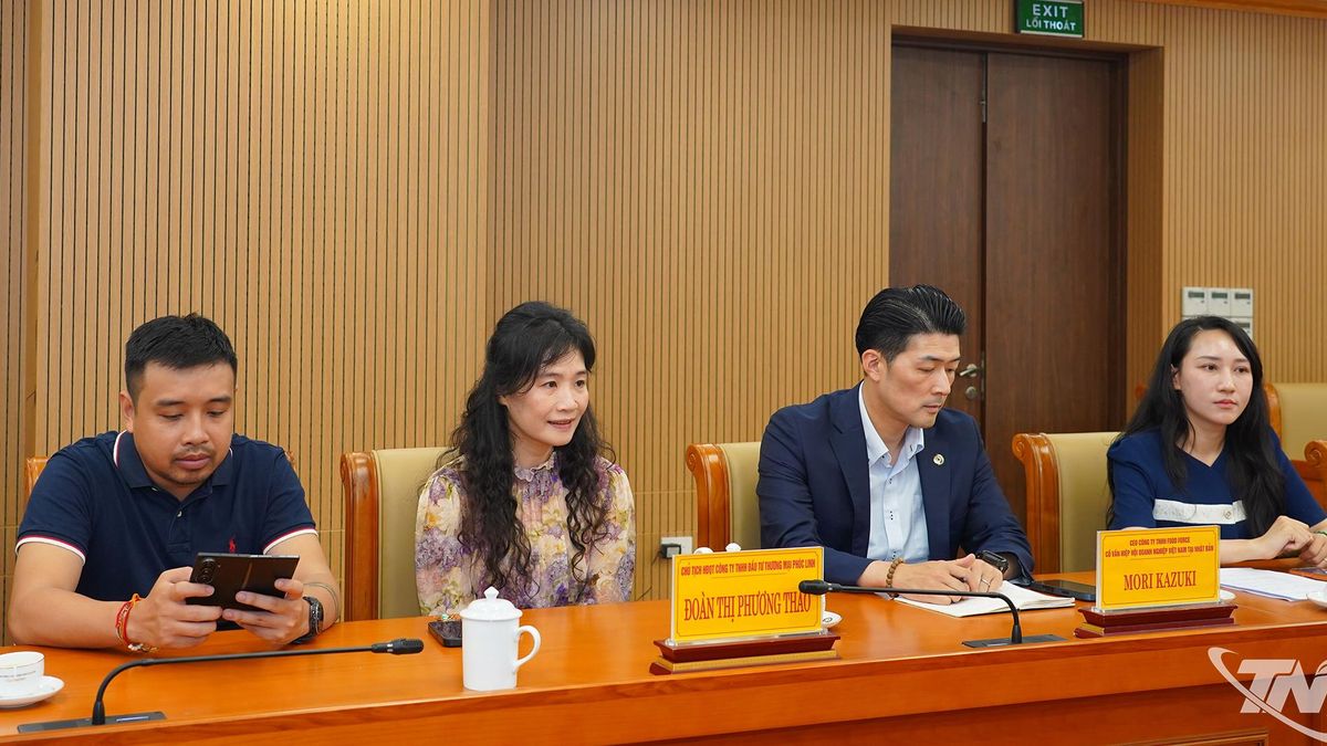 Cơ hội mới cho chè Thái Nguyên từ thị trường Nhật Bản - Báo Thái Nguyên