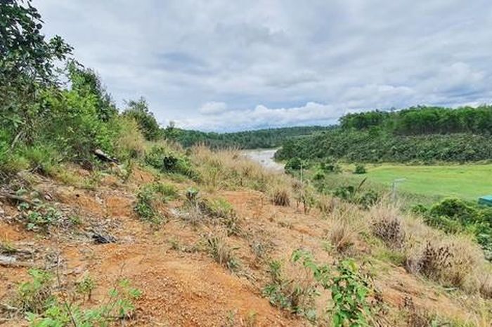 Đất rừng Tây Nguyên 'bay màu' - Bài 2: Dự án 'nuốt rừng' - Báo Sài Gòn ...