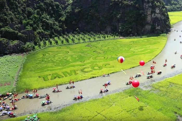 Xây dựng cánh đồng lúa đẹp nhất Việt Nam thành cánh đồng lúa nghệ thuật ...