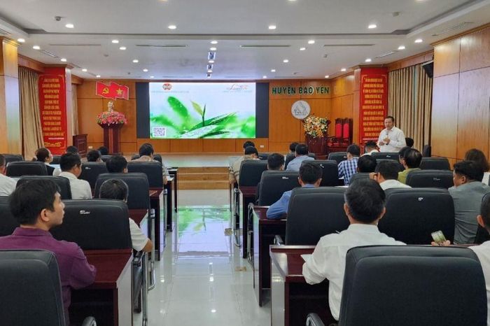 Đánh giá mô hình kiểm nghiệm sử dụng phân bón hữu cơ Lucavi Organic ...