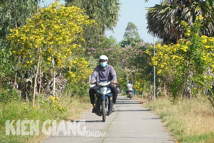 Hộ nghèo dân tộc thiểu số cả nước chiếm khoảng 17,82% - Báo Kiên Giang