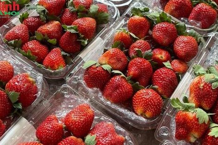 Dâu tây Sơn La giả mạo tràn lan, cách phân biệt thật giả cực dễ người ...