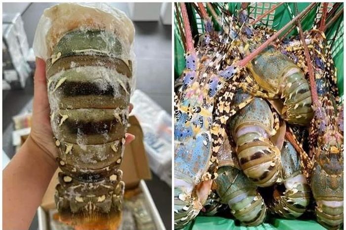 Tôm hùm bông giá siêu rẻ bất ngờ đổ bộ chợ Hà Nội - Báo Tri thức & Cuộc ...
