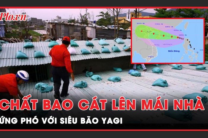 Cách chống bay mái tôn, gia cố nhà cửa để ứng phó với bão Yagi - Báo ...