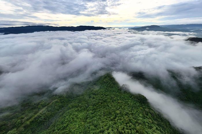 Ngắm 'biển mây' trên đèo Violak - Chuyên trang Sài Gòn Tiếp Thị - Tạp ...