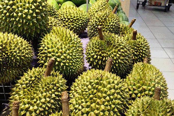 VINAFRUIT cảnh báo tình trạng gian lận mã số vùng trồng sầu riêng - Tạp ...