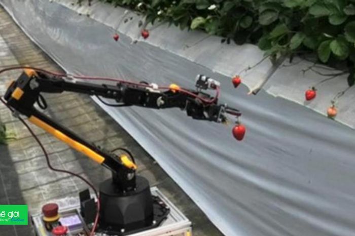 Robot giúp thu hoạch dâu tây - Tạp chí Một Thế Giới