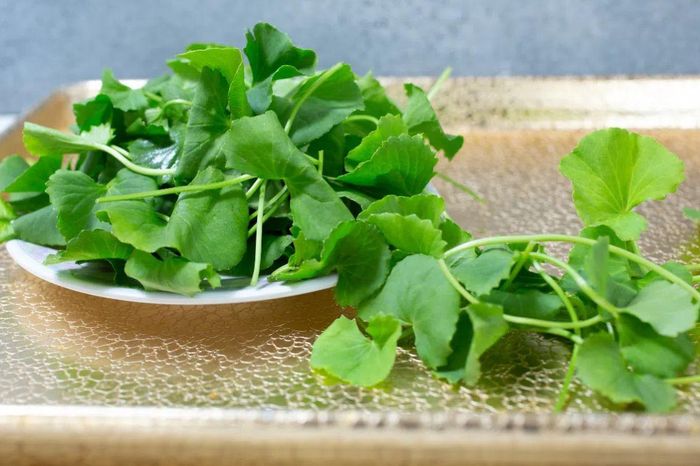 Món rau dân dã giá vài nghìn đồng nhưng mát từ gan tới da, dinh dưỡng ...