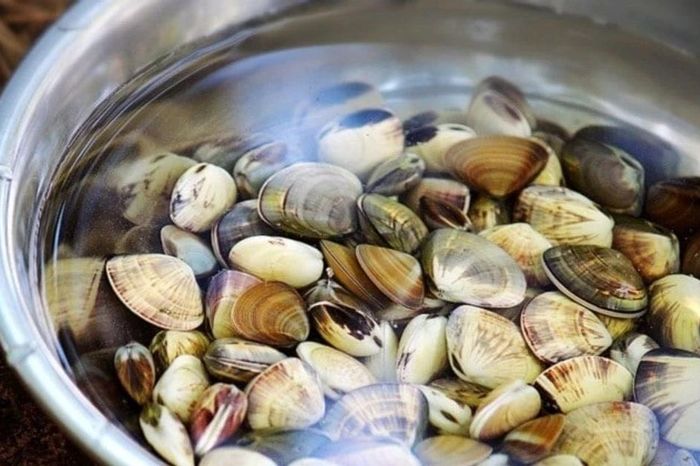 Mẹo ngâm ngao sạch bùn cát cực nhanh, không cần nước muối - Báo Tri ...
