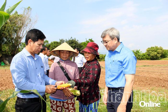 Dự án SACCR: Giúp đồng bào dân tộc thiểu số thay đổi tư duy canh tác ...