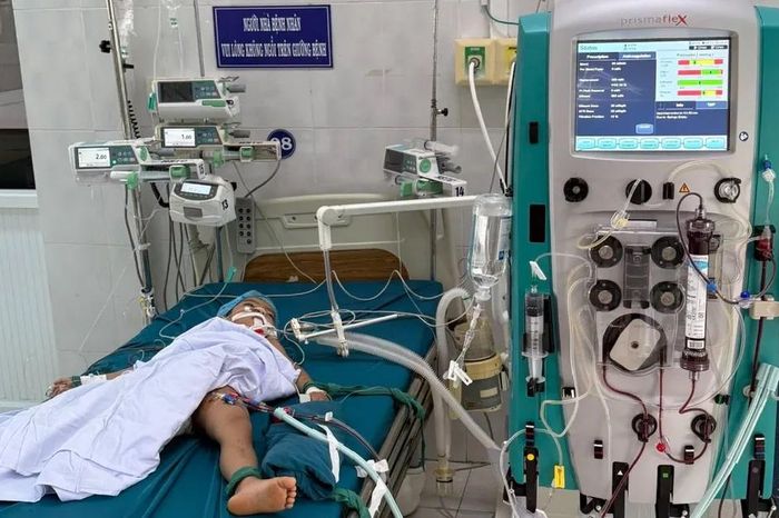 Liên tiếp bị ong vò vẽ tấn công, hai người tử vong - Báo Sài Gòn Giải Phóng