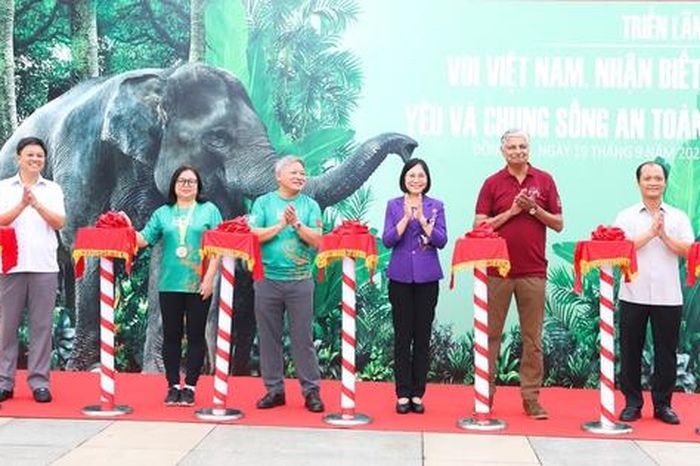 Gần 500 người tham gia 'Nhảy vì sự tử tế với loài voi và các loài động ...