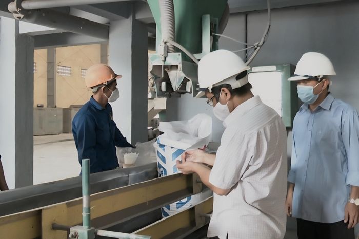 Sử dụng phân bón hợp lý là chìa khóa cho nền nông nghiệp bền vững - Báo ...