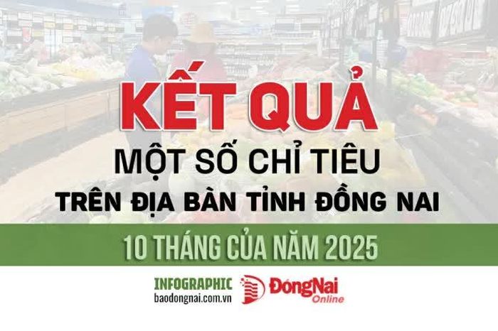 [Infographic] Các chỉ tiêu kinh tế của Đồng Nai tăng trưởng ra sao ...