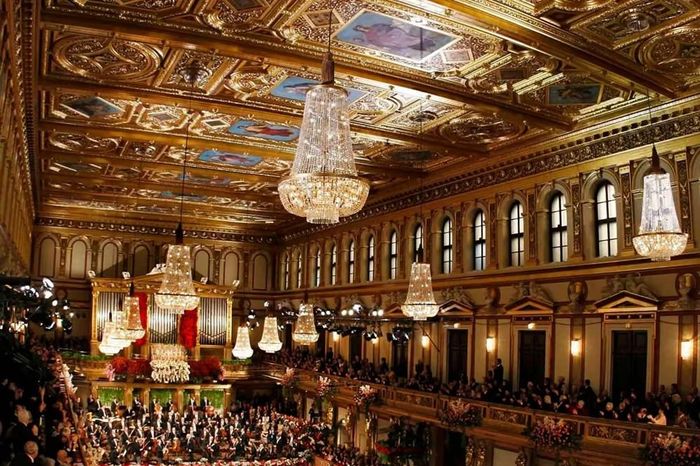 Áo: Vienna đóng cửa một số bảo tàng trong nỗ lực thắt chặt chi tiêu ...