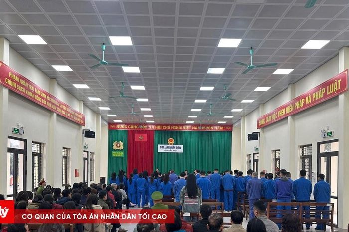 4 án chung thân, hơn 100 năm tù cho 46 bị cáo lừa đảo chiếm đoạt tài ...