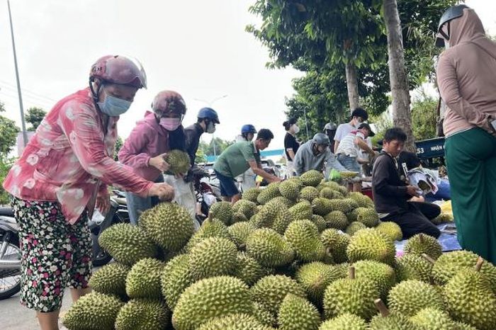 Vì sao giá nhiều mặt hàng trái cây chủ lực ở miền Tây liên tiếp chạm ...