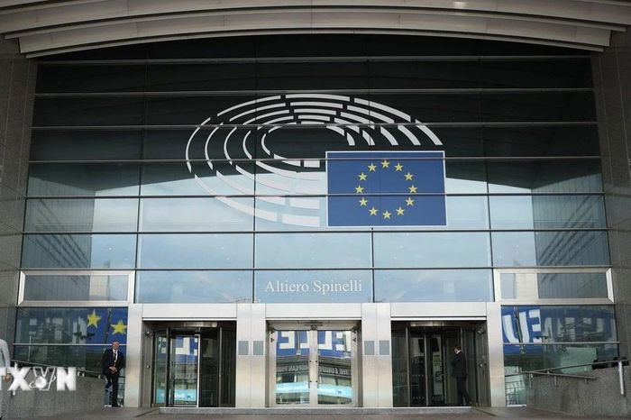 EU xây dựng khung pháp lý chung bảo vệ người dễ bị tổn thương - Báo ...