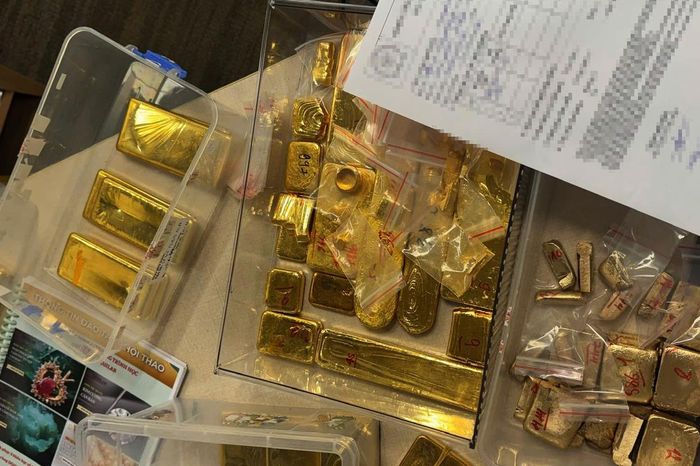 Công an Hà Nội triệt phá nhóm buôn lậu 8.000 cây vàng xuyên quốc gia ...