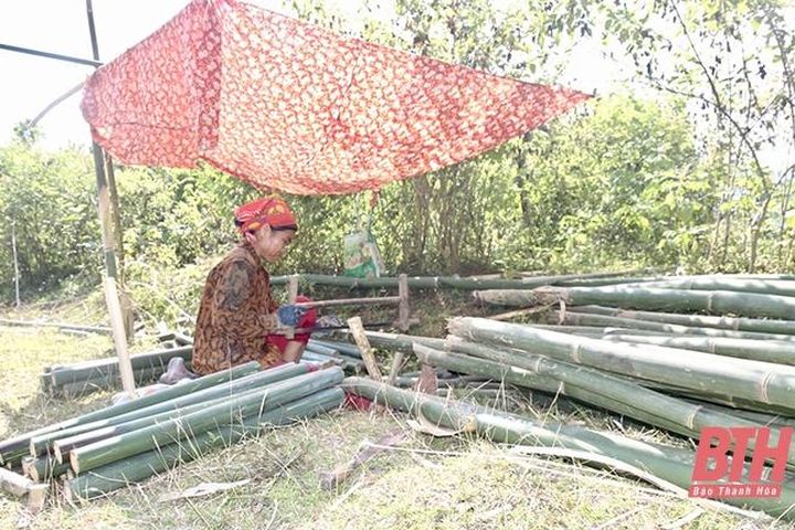 Giảm Nghèo Hay Câu Chuyện Con Kiến Leo Cành đa Bài 2 Leo Phải 2129
