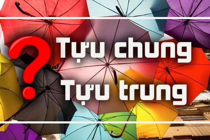 Tìm hiểu xum xuê có nghĩa là gì trong văn hóa Việt Nam